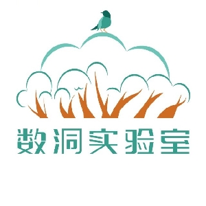 数洞实验室 