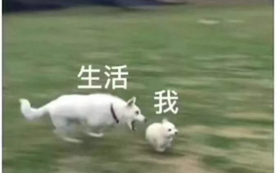 小县城定制家具设计师的乏味日常