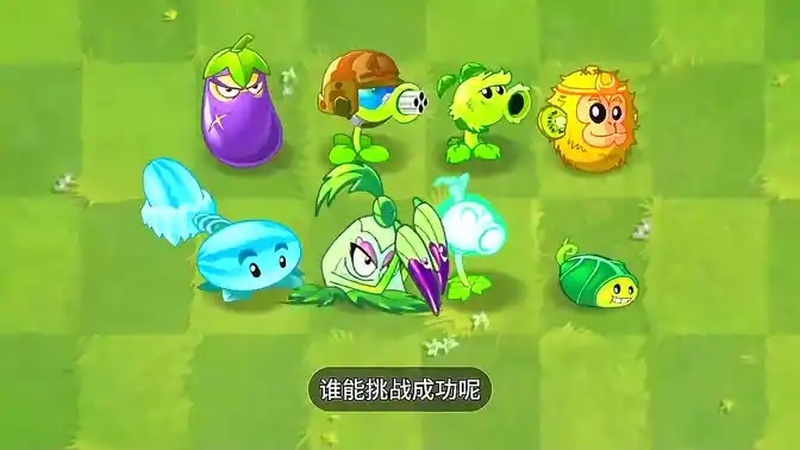 每种植物重叠种植五个,挑战一小波巨人