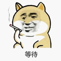 阿斯兰母 
