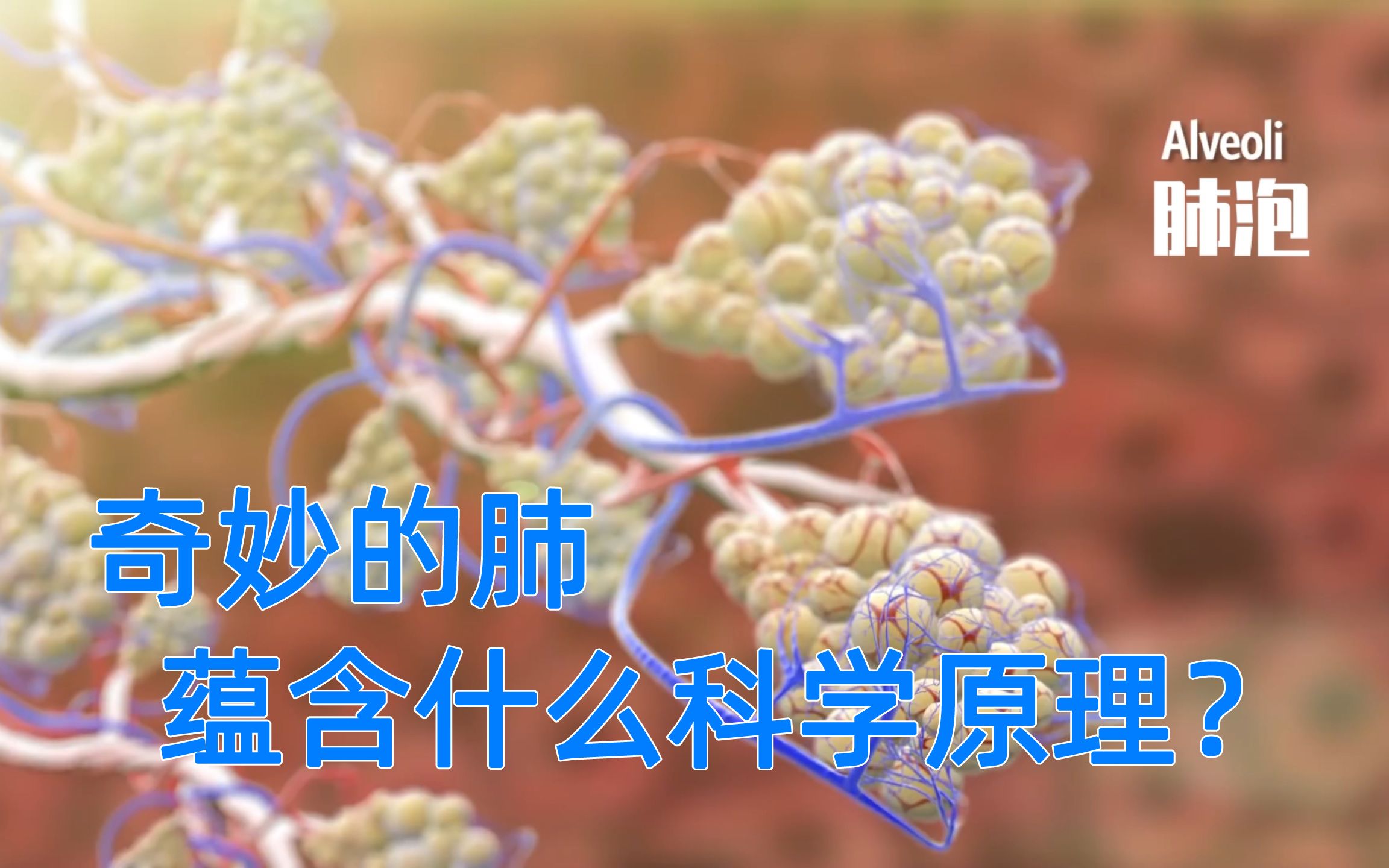 精妙的呼吸系统,肺怎么工作?呼吸之间都蕴含了科学原理