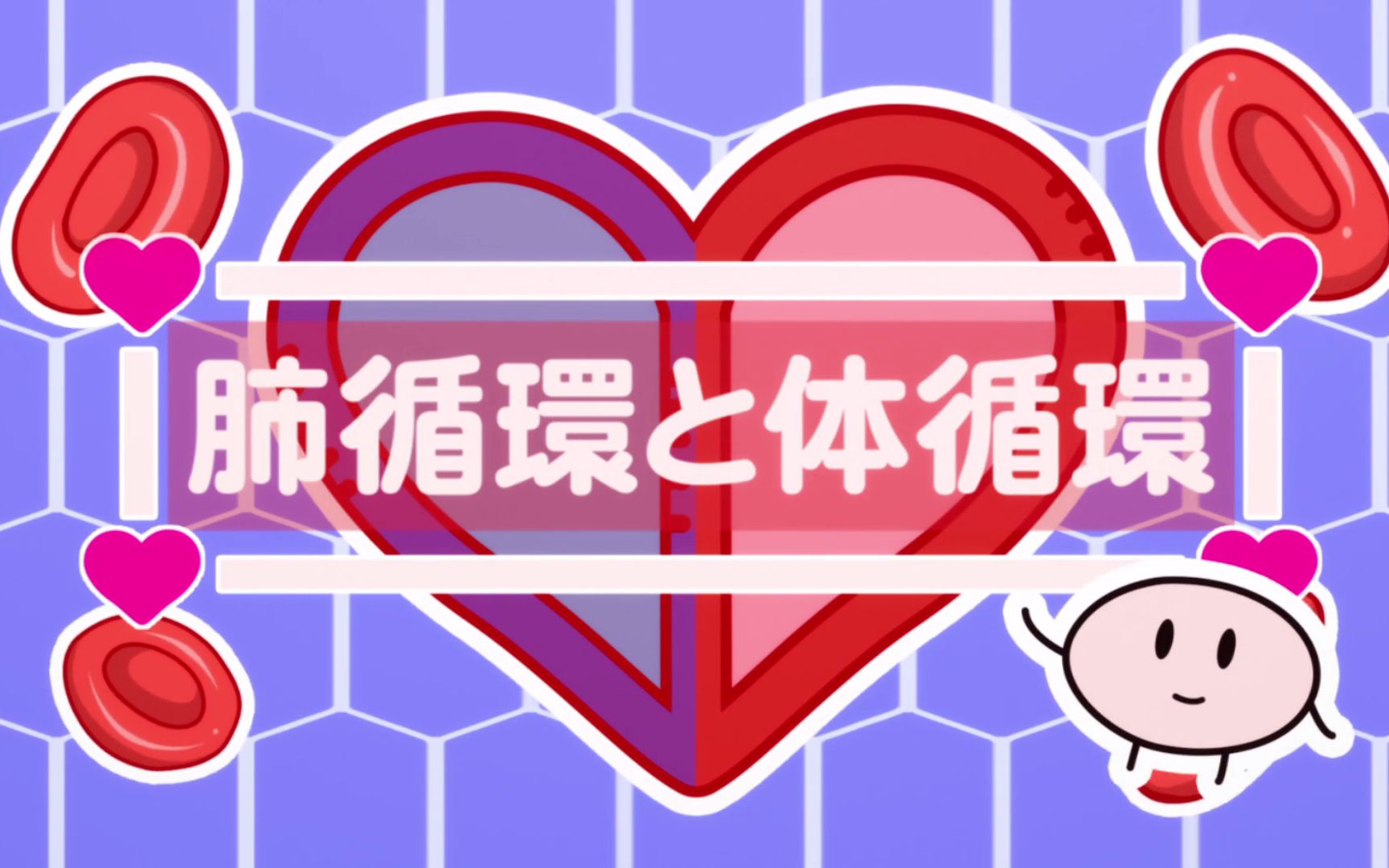 【工作细胞】血液循环系统简介(中英双语字幕)