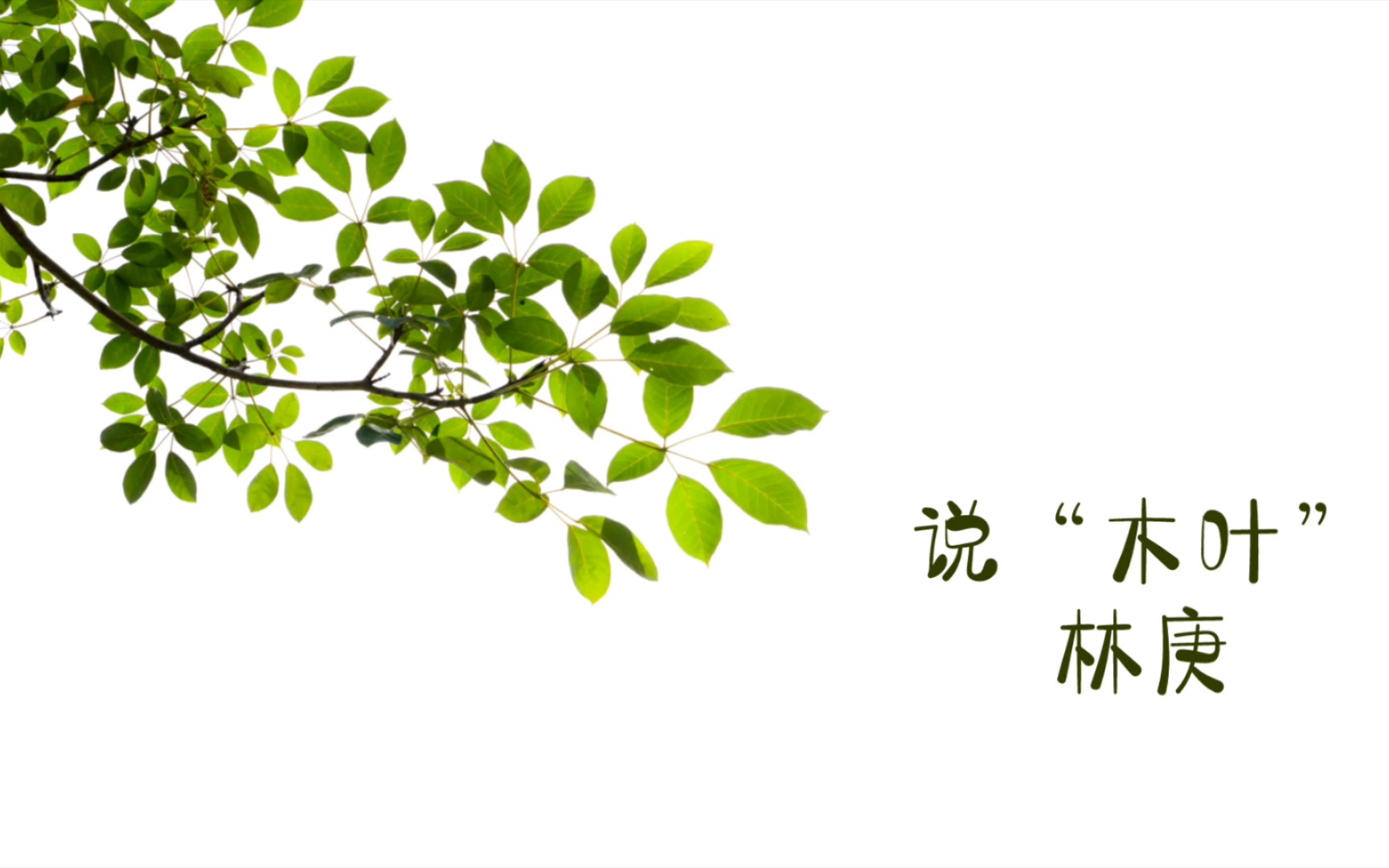 课文朗诵 | 林庚《说“木叶”》