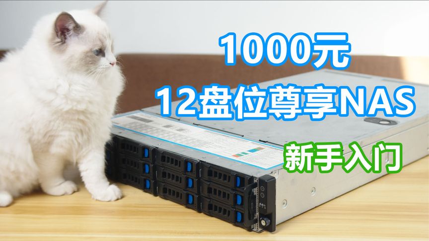 简单方便的win10 NAS 12盘位 搭建 性价比 2U 服务器