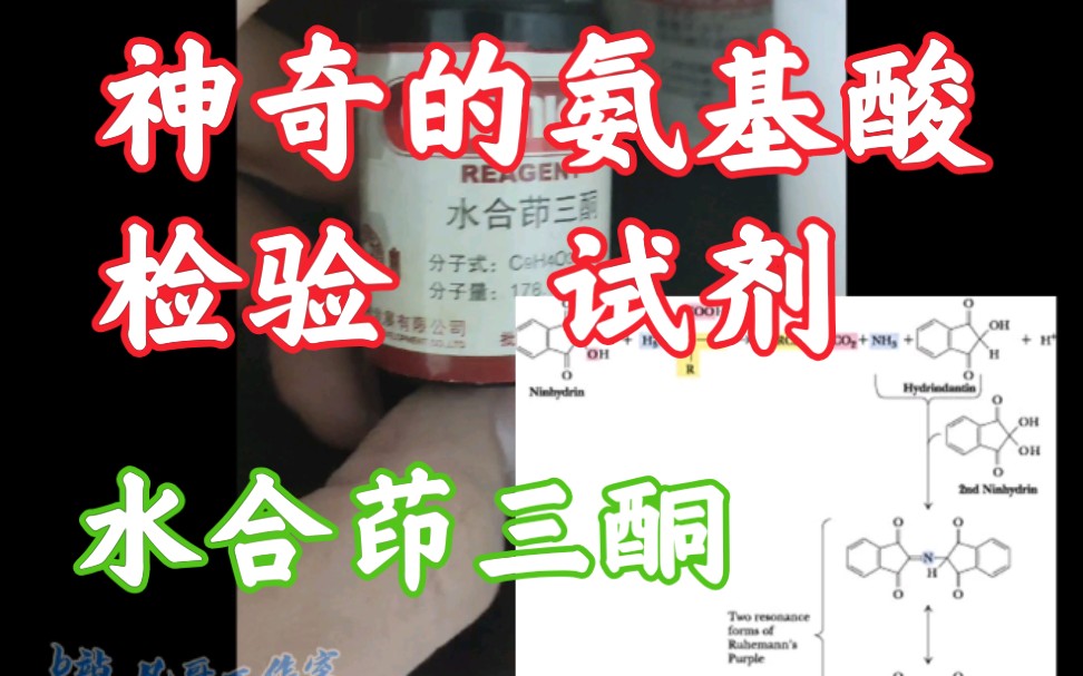神奇的氨基酸检验试剂 水合茚三酮的展示