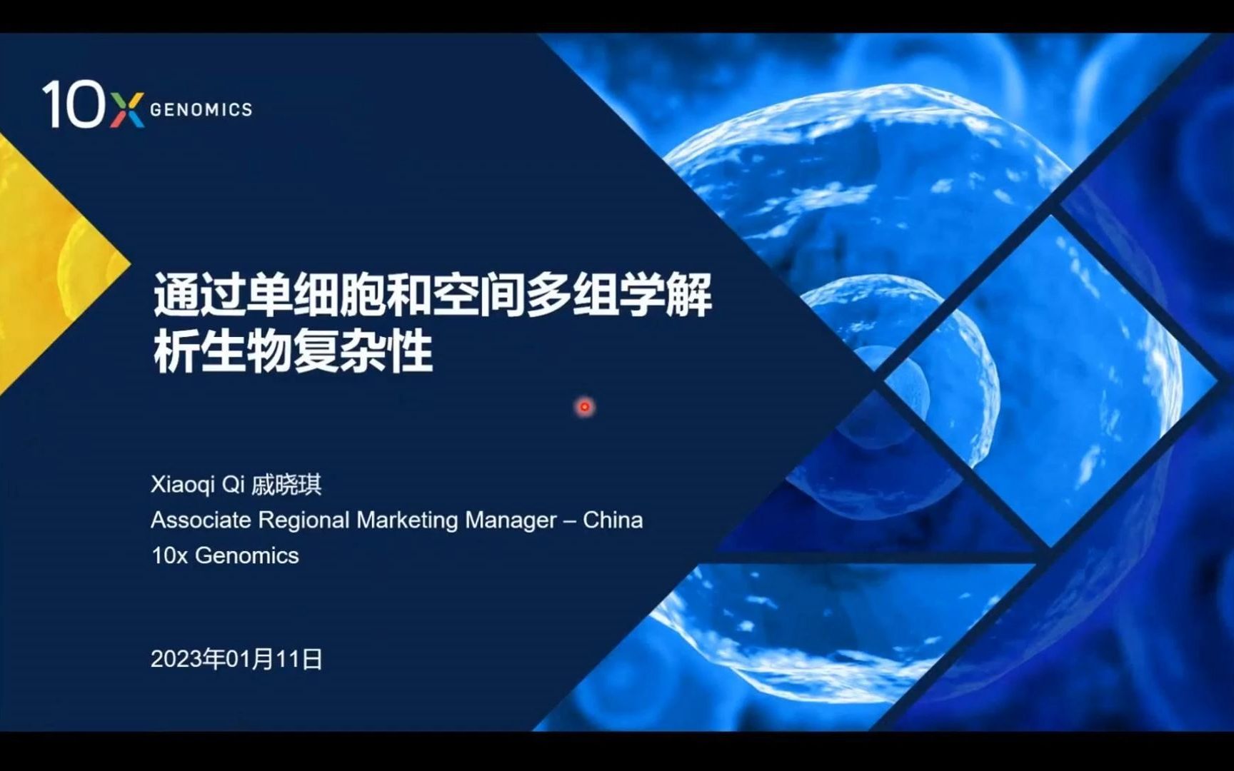 ...x Genomics单细胞平台和PacBio MAS-Seq进行单细胞全长转录组测序