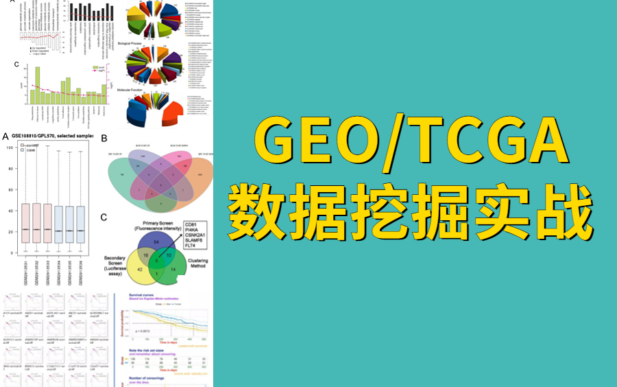 开启数据挖掘之门:GEO、TCGA数据库入门必看!