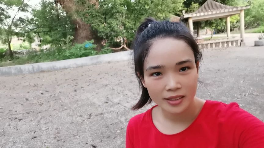 给大家看一下我们村口的香樟树