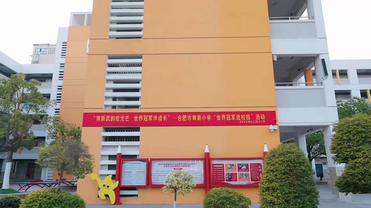 ...从太极拳到篮球,从女排到散打,涵盖多个体育领域的世界冠军与国手们...