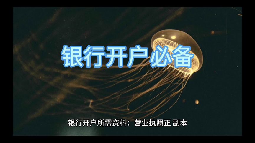 乐清公司银行开户所需资料#会计 #企业服务 #创业