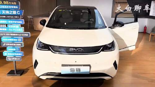 2025款比亚迪海豚价格再跳水!现在落地价居然这么低?