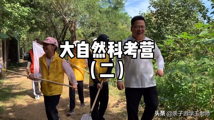 幼儿园小学生周末活动 走进大自然 动手做标本