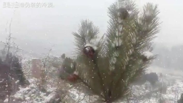 董文华的《梅花雪》,真好听,飘雪的日子里,听着心里暖暖的!