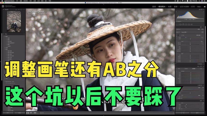 原来lr中的调整画笔还有ab之分,也容易让人踩坑