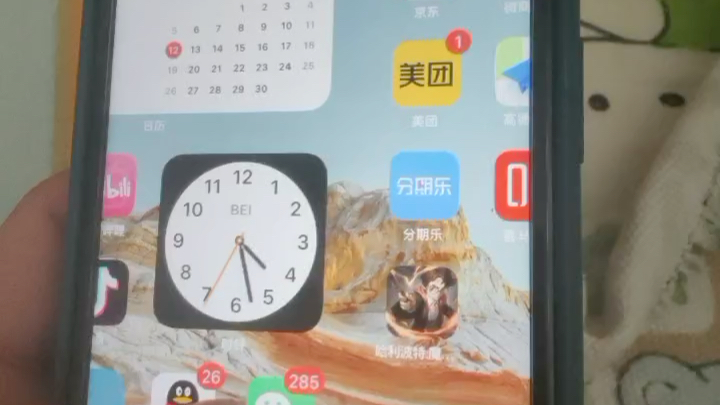 只黑不吹苹果垃圾