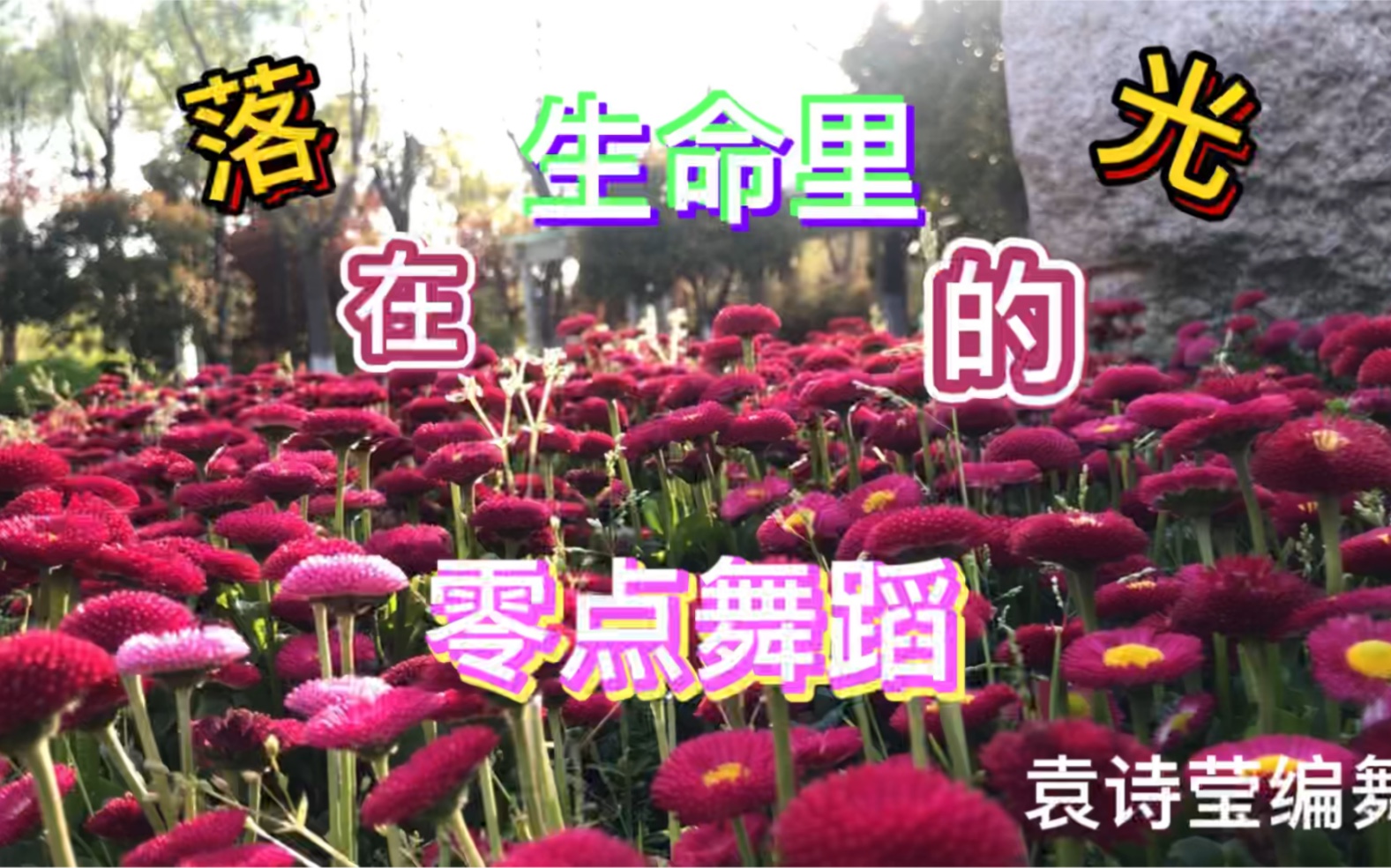 【零点舞蹈】教师外拍《落在生命里的光》花絮ߓ�舞美到极致,景美...