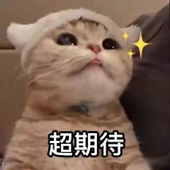 向往的围城 
