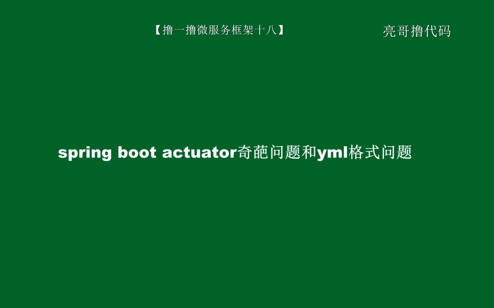 18、spring boot actuator 显示问题和user服务nacos配置格式问题