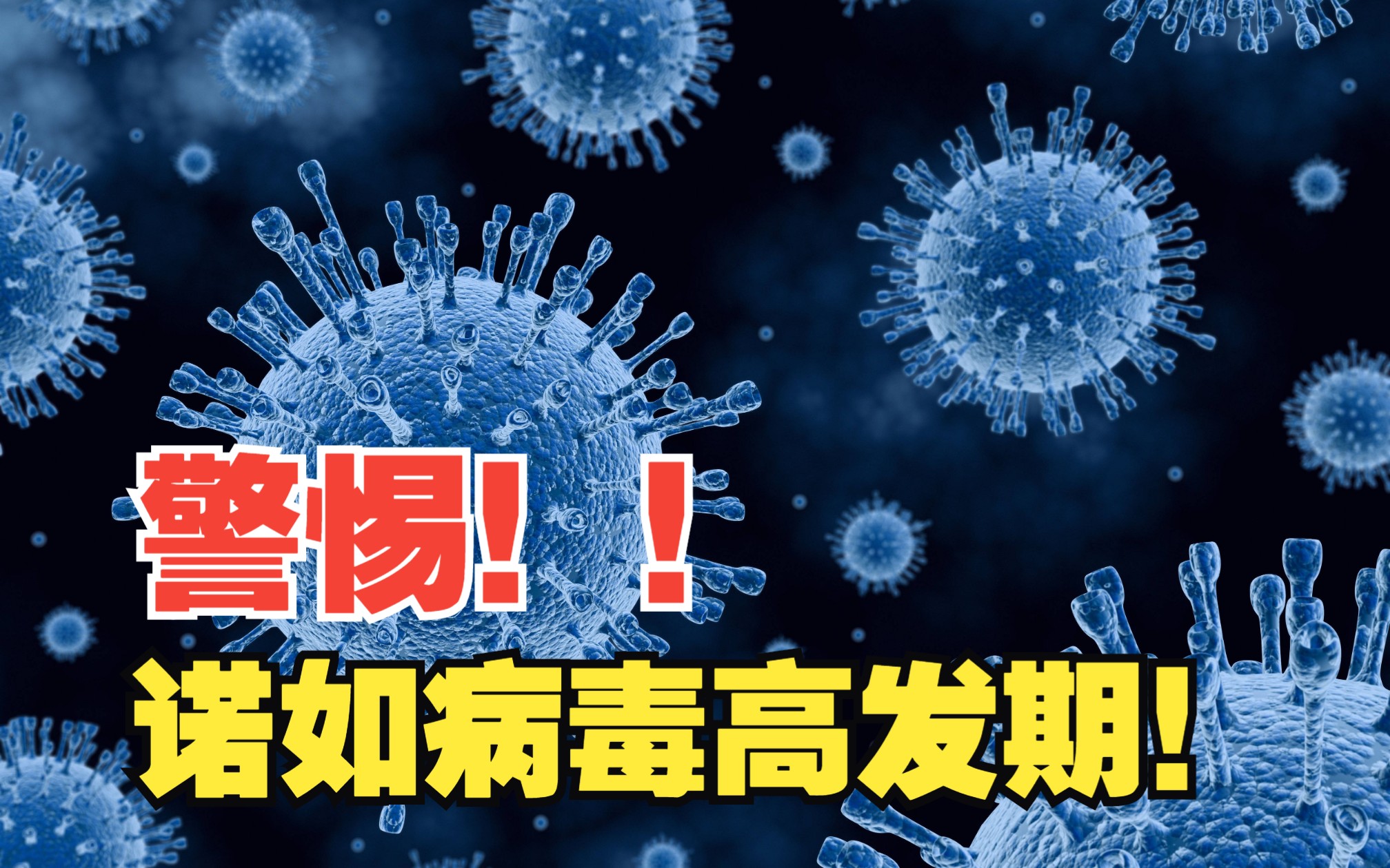 “诺如病毒”感染高发季节,学校和托幼机构等聚集场所为高危区!