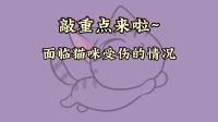 猫咪腿上有伤口怎么处理