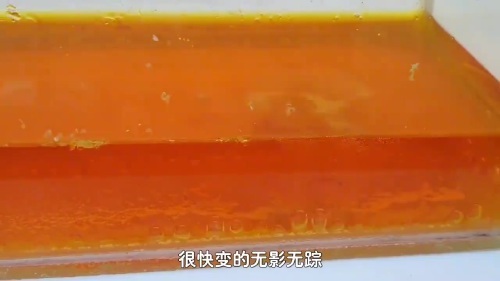 探索生活的奥秘,客观剖析背后真相与日常的鲜活对比