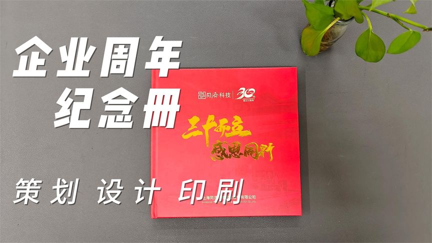 科技公司30周年纪念册怎么排版设计,参考纪念册案例
