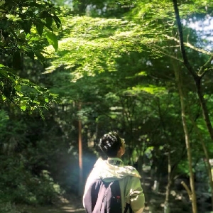 好好说话我不要辣 
