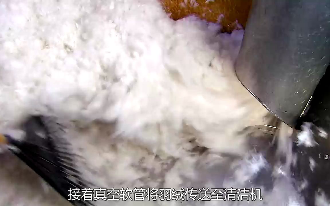 羽绒服里的羽绒是怎么生产的?先将羽绒清洗13遍,再加入除油剂! #羽绒...