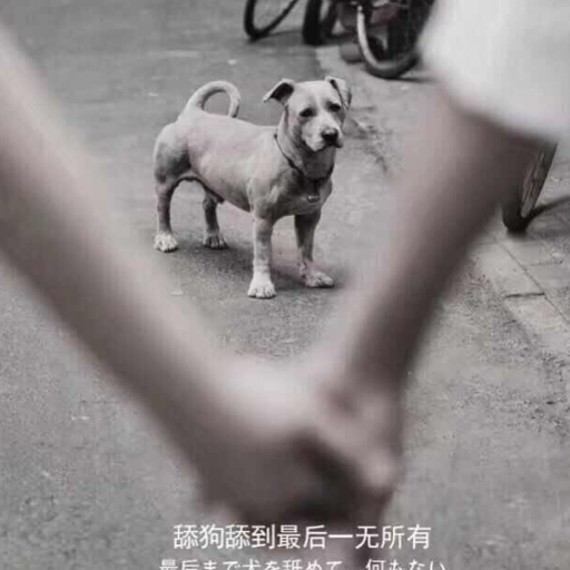 后天咯logo 