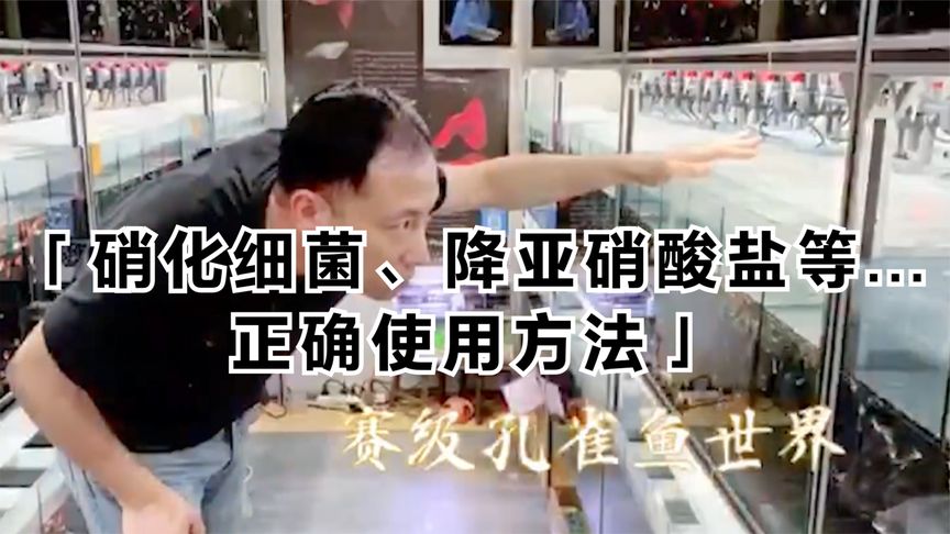 往期话题回顾:硝化细菌、降亚硝酸盐等.使用方法