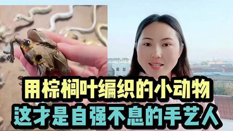 用棕榈叶编织的小动物,这才是自强不息的手艺人!