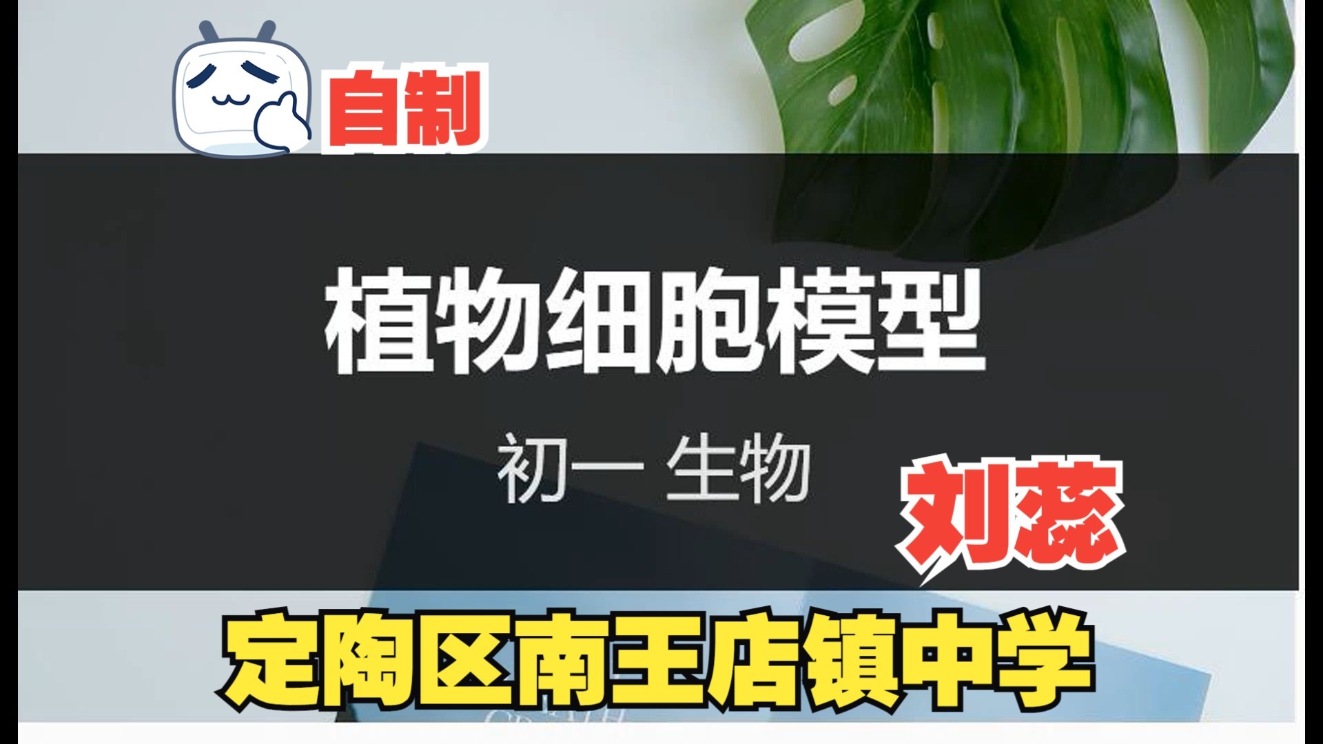 定陶区南王店镇中学刘蕊 植物细胞模型