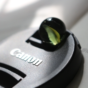 黑色蜘蛛侠的退休生活 