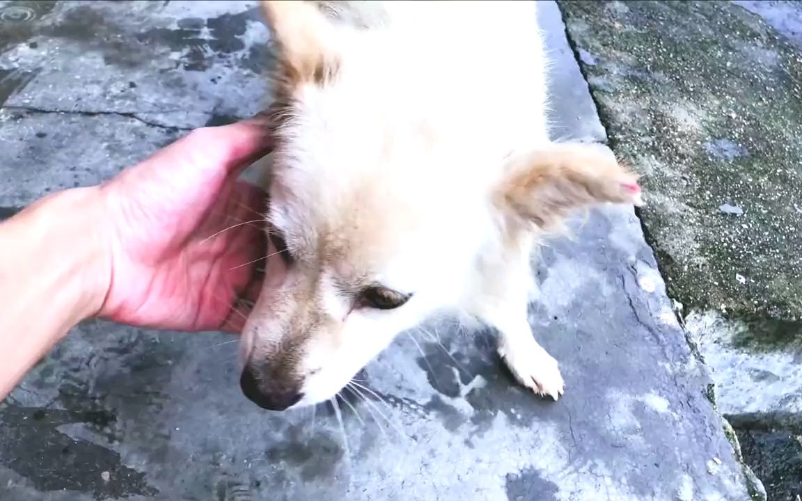 . 承重几十吨的钢丝绳是怎么制作的?为什么不易折断?工厂大揭秘!