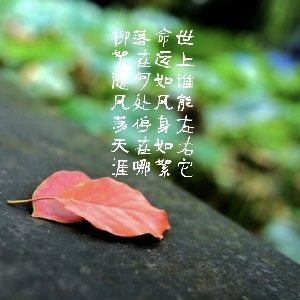 人怪o 