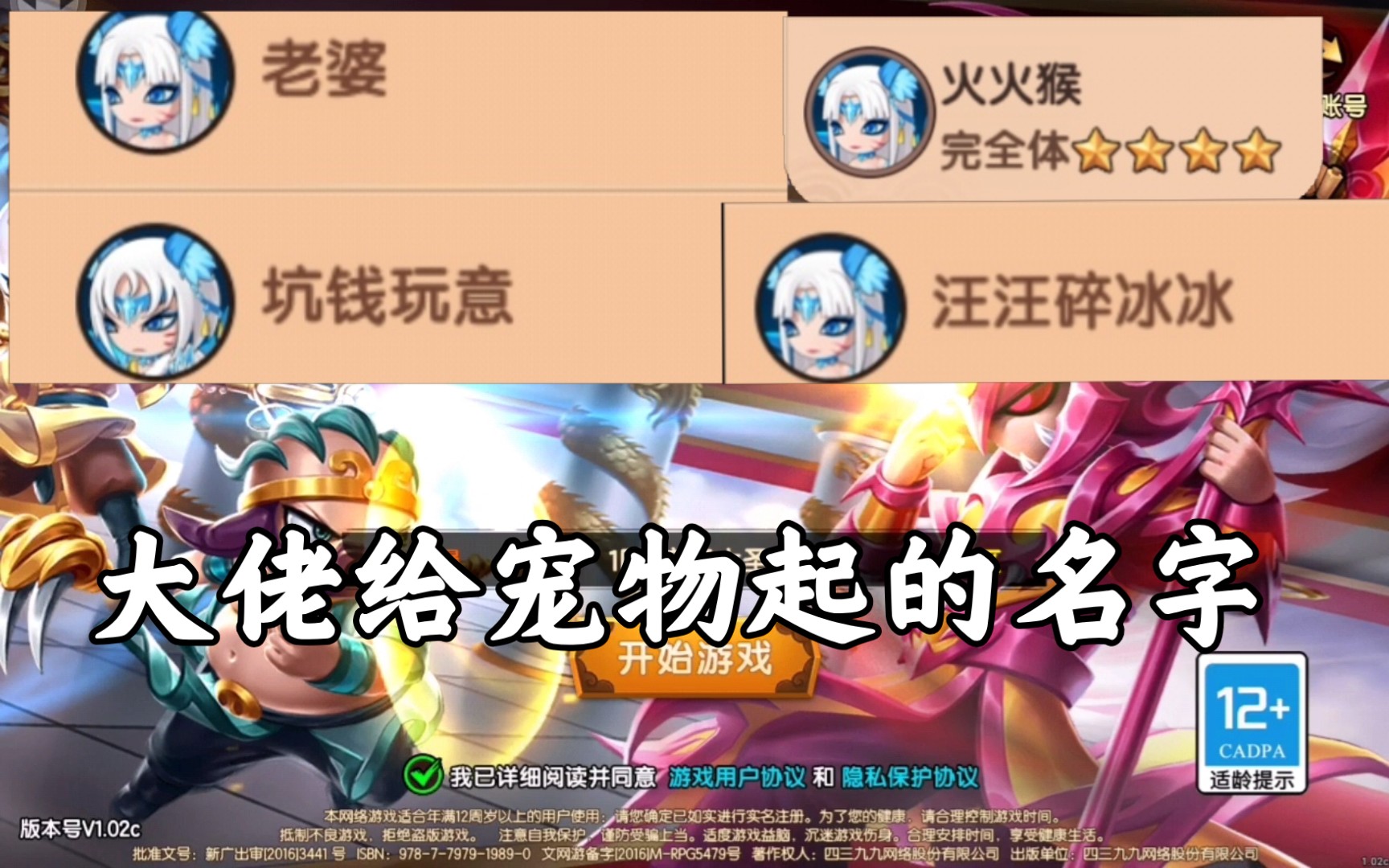 【造梦无双】欣赏一下大佬给宠物起的名字 真不来看看学学吗(doge)