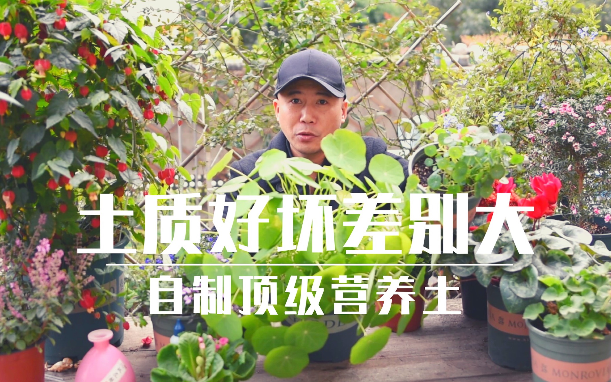 土质好坏差别大,自制顶级营养土,养花简直是开挂