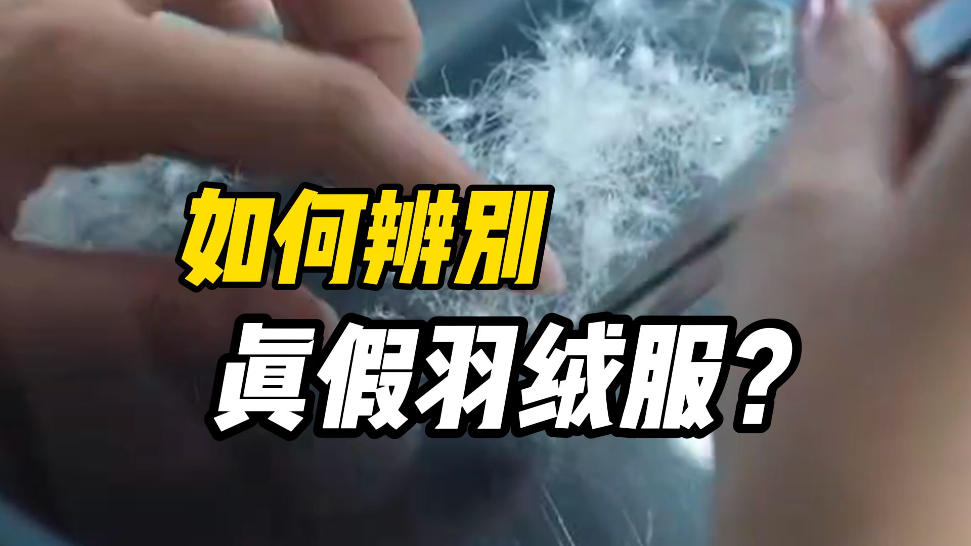 如何辨别真假羽绒服?专家提醒:一吨鸭绒几十万,买羽绒衣切莫图便宜