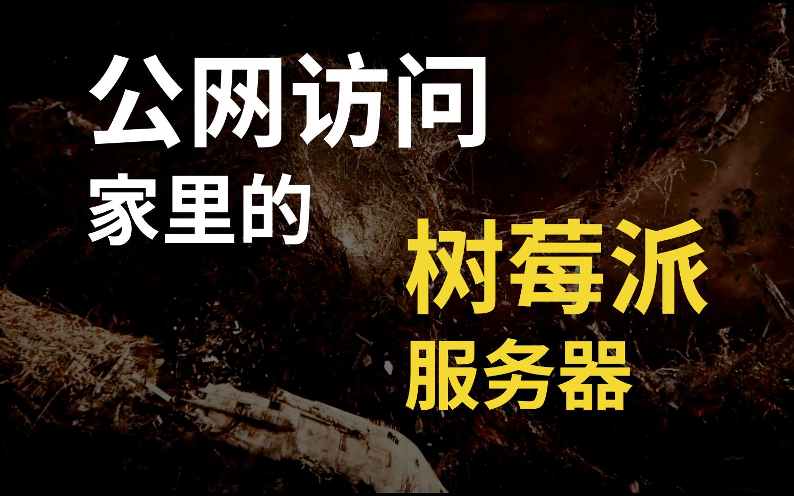 公网访问自己搭的树莓派小服务器