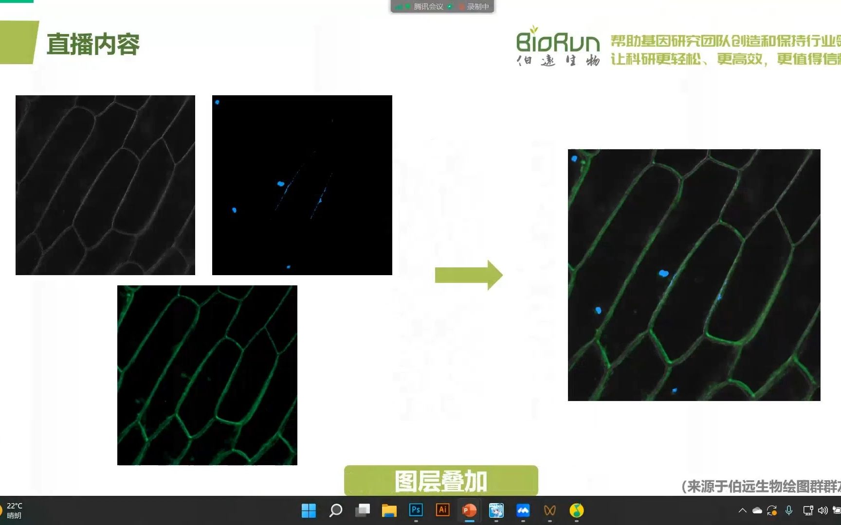 2、Ps科研绘图-图层叠加处理
