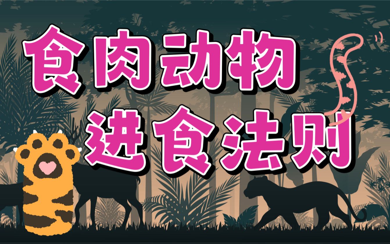 当人们把狼从生态系统中清除,却发现导致了森林的严重衰退…