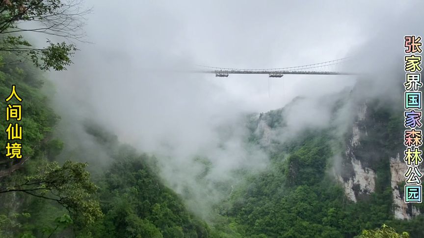 张家界国家森林公园,云雾缭绕,人间仙境#旅游景点 #网红打卡