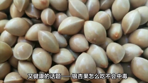 银杏果怎么吃不会中毒?银杏果的功效和正确吃法