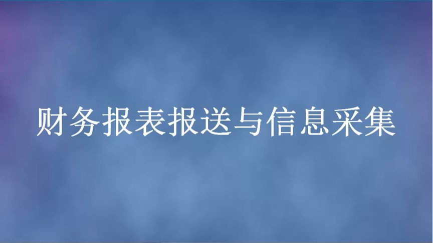 财务报表报送与信息采集