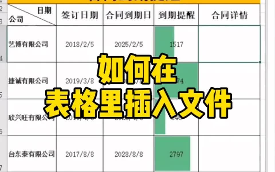 如何在表格里插入文件