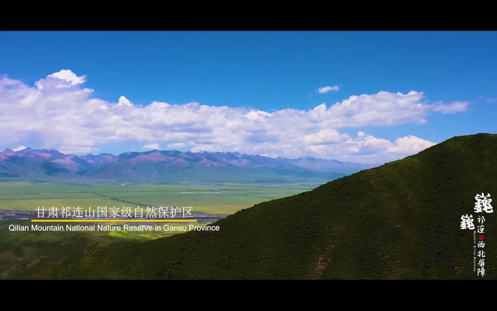 保护生物多样性主题宣传片—甘肃篇