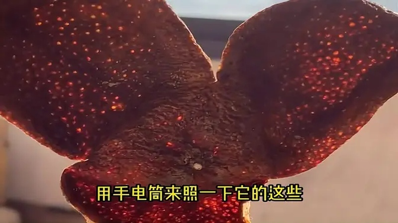 3点轻松辨别新会陈皮真假,缺一不可!
