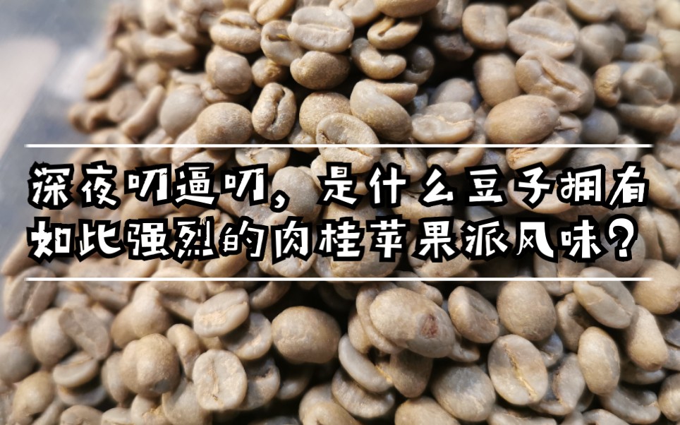 咖啡烘焙,是什么咖啡豆拥有如此强烈的肉桂苹果派的气息?!这样的豆子...