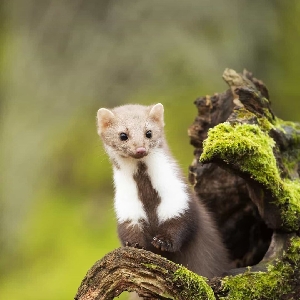 帅弟弟是个帅锅 