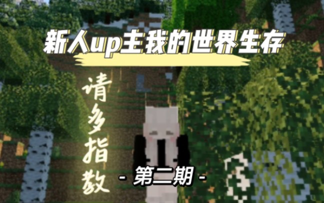 【我的世界】新人up生存“第一期,但是第二期”_哔哩哔哩bilibili_我的...